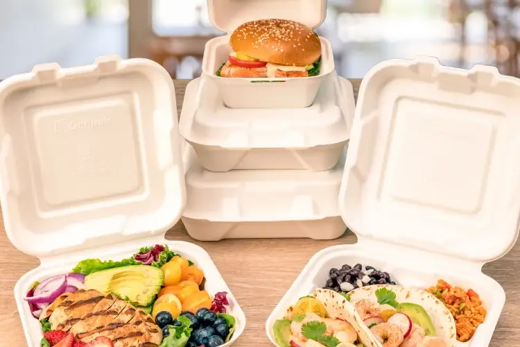 Sustainable Takeout: Compostable Food Container Solutions